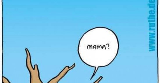 Mama?.. | Lustige Bilder, Sprüche, Witze, echt lustig