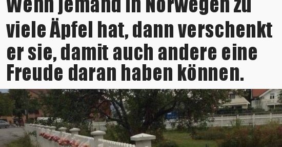 Wenn jemand in Norwegen zu viele Äpfel hat, dann verschenkt.. | Lustige ...