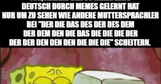Ich, jemand, der 30 Jahre lang Deutsch durch Memes gelernt hat nur um ...