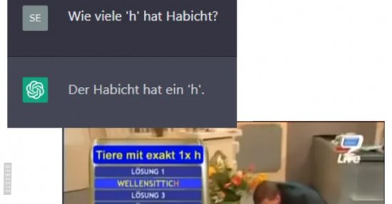 Wie viele 'h' hat Habicht? - DEBESTE.de