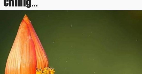 Chillig... - DEBESTE.de