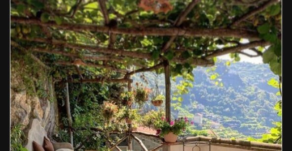 Eine unglaubliche Terrasse mit einem wunderschönen.. | Lustige Bilder ...