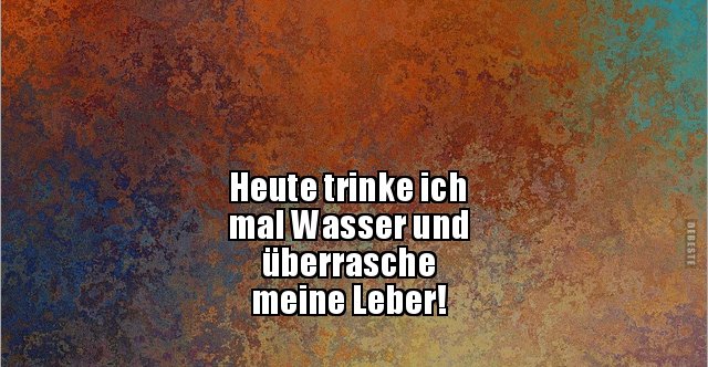 Heute trinke ich mal Wasser und überrasche.. | Lustige Bilder, Sprüche ...