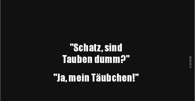 "Schatz, sind Tauben dumm?" "Ja, mein Täubchen!".. | Lustige Bilder ...