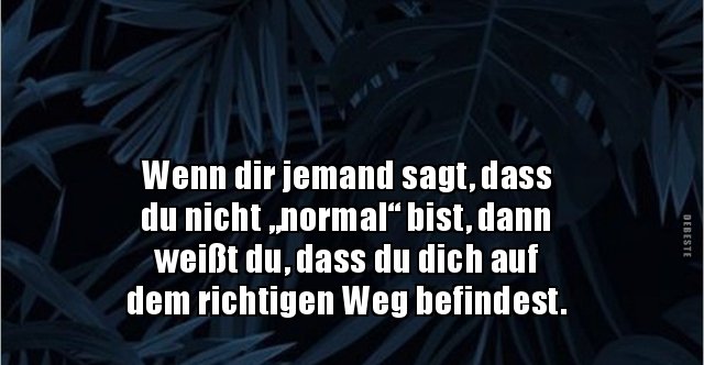 Wenn dir jemand sagt, dass du nicht „normal“ bist, dann.. | Lustige Bilder, Sprüche, Witze, echt ...