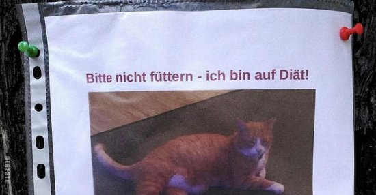 Bitte nich füttern - ich bin auf Diät! - DEBESTE.de