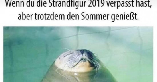 Wenn du die Strandfigur 2019 verpasst hast, aber trotzdem.. | Lustige ...