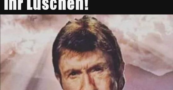 Ihr Luschen!.. | Lustige Bilder, Sprüche, Witze, echt lustig