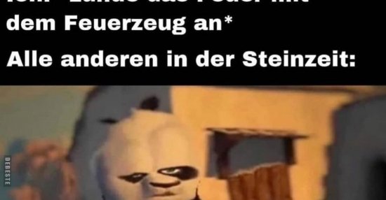 Ich: *zünde das Feuer mit dem Feuerzeug an*.. | Lustige Bilder, Sprüche ...