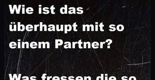 Wie ist das überhaupt mit so einen Partner? | Lustige Bilder, Sprüche ...