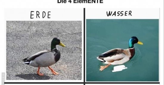 Die 4 ElemENTE.. | Lustige Bilder, Sprüche, Witze, echt lustig