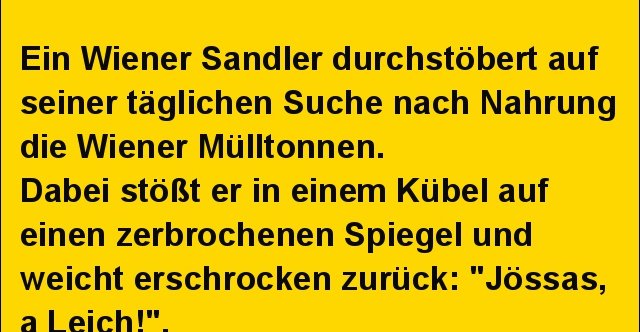 Ein Wiener Sandler durchstöbert auf seiner täglichen.. | Lustige Bilder ...