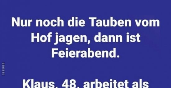 Nur noch die Tauben vom Hof jagen, dann ist Feierabend... | Lustige ...