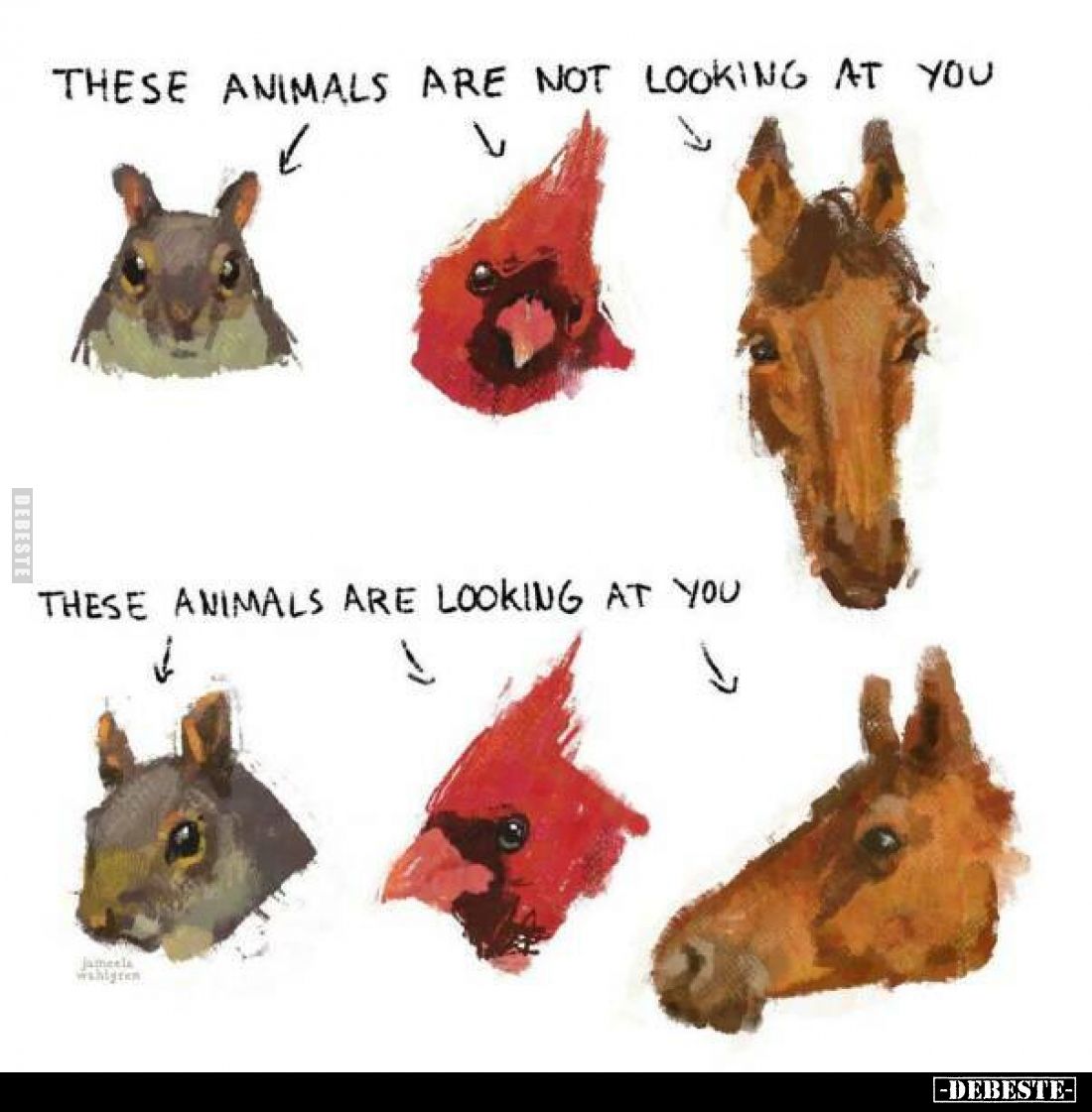THESE ANIMALS ARE NOT LOOKING AT YOU - DEBESTE.de