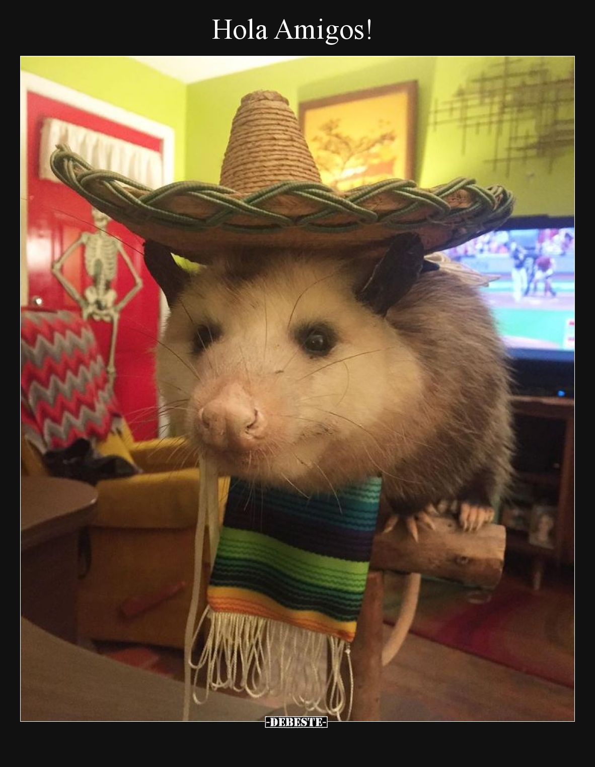 Hola Amigos! - DEBESTE.de