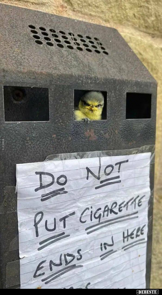 Do NOT PUT CIGARETTE ENDS IN HERE - DEBESTE.de