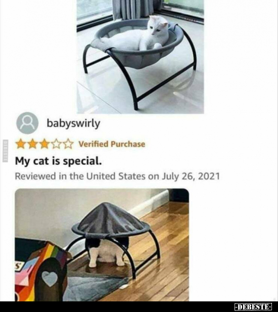 My cat is special. - DEBESTE.de
