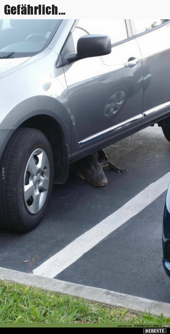 10 lustige Bilder H - Seite (6903) - DEBESTE.de