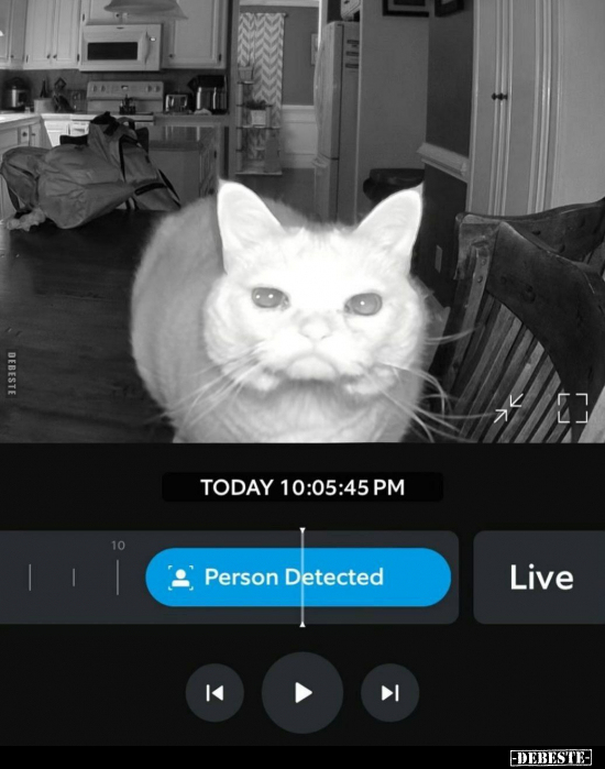 Person Detected - DEBESTE.de