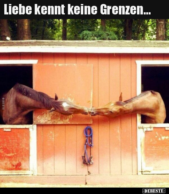 Liebe kennt keine Grenzen... - DEBESTE.de