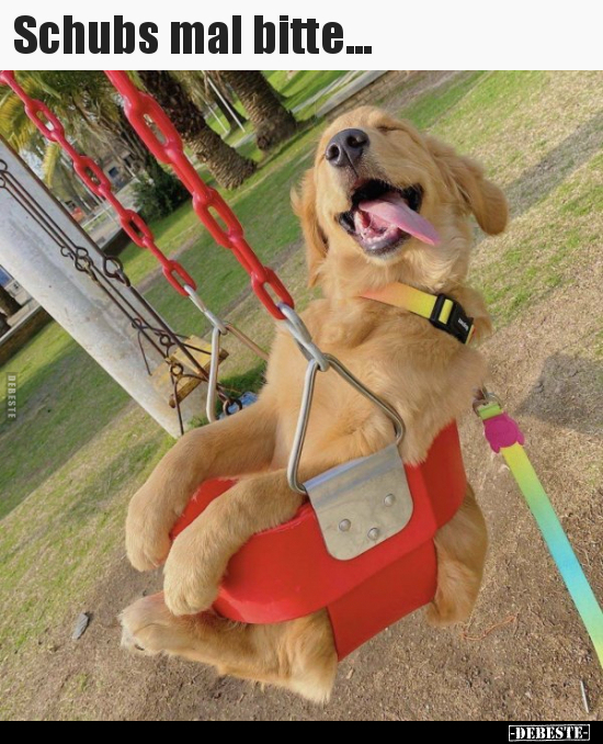 Schubs mal bitte... - DEBESTE.de