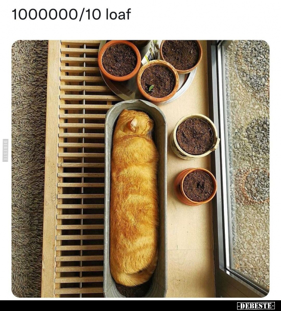 1000000/10 loaf - DEBESTE.de