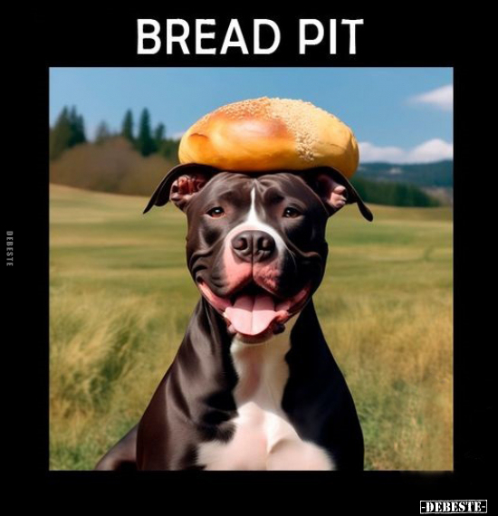 BREAD PIT - DEBESTE.de