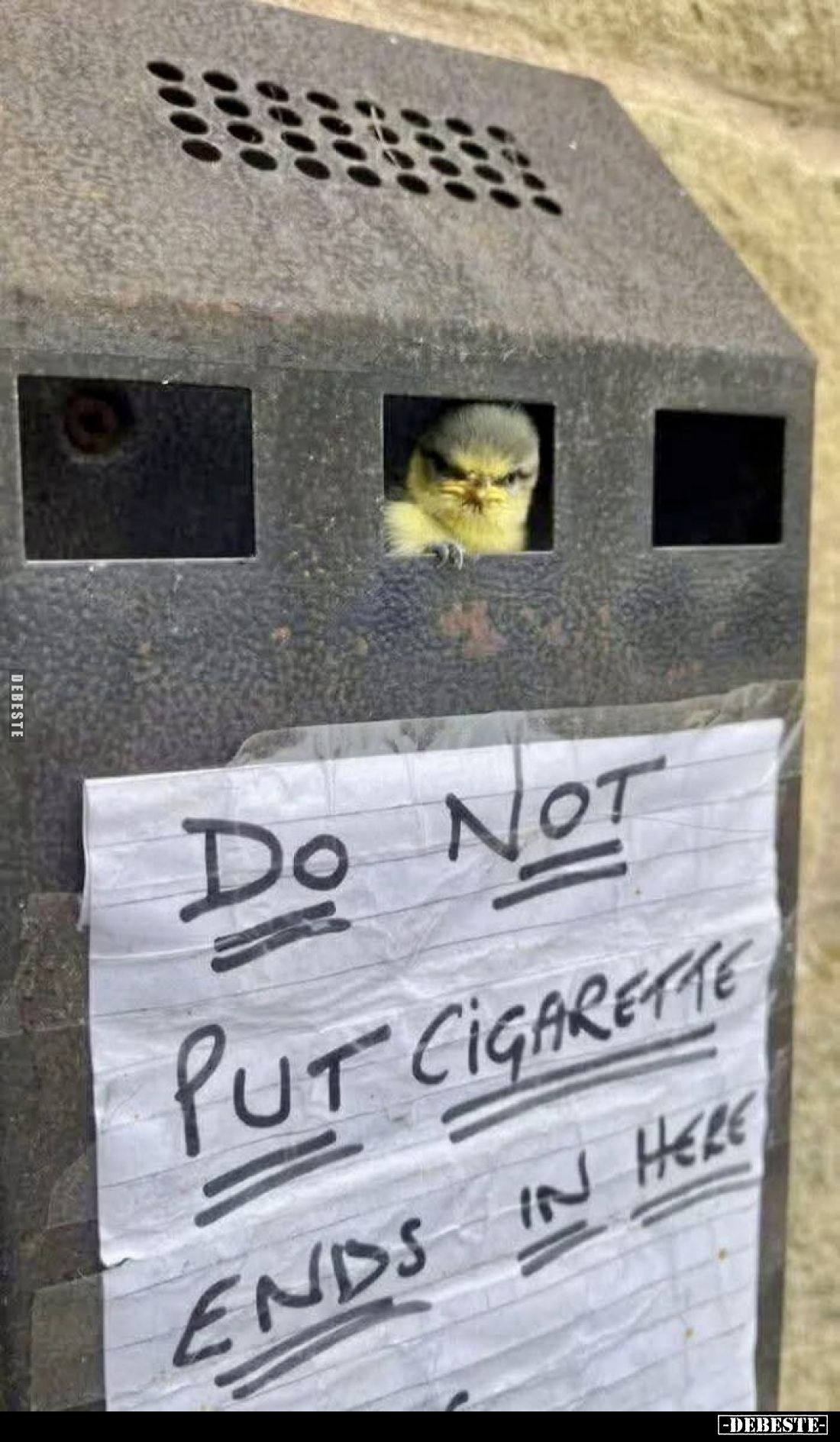 Do not put cigarette ends in here - DEBESTE.de