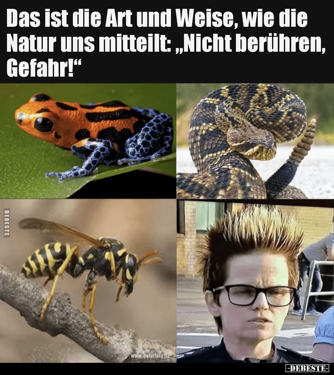 Das ist die Art und Weise, wie die Natur uns mitteilt: „Nicht berühren, - DEBESTE.de