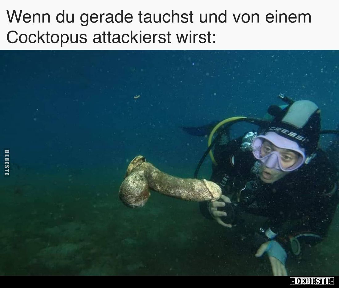 Neue Bilder und Memes - Opus - lustig, kostenlos - DEBESTE.de