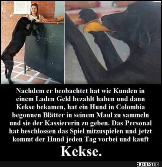 Nachdem er beobachtet hat wie Kunden in einem Laden Geld bezahlt.. - DEBESTE.de