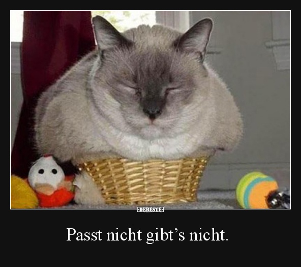 Passt nicht gibt’s nicht. - DEBESTE.de